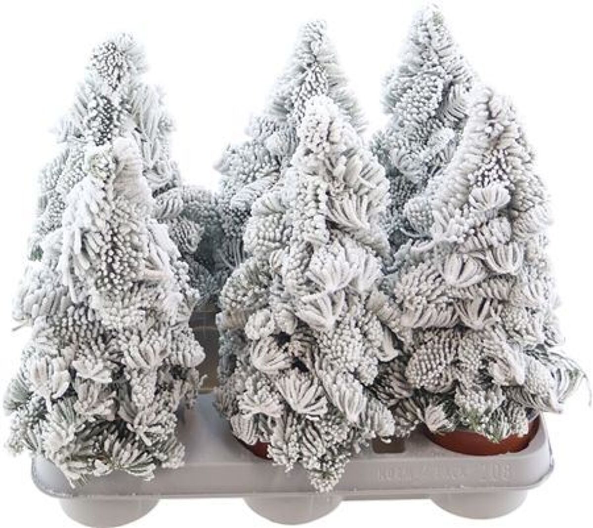 Baumchen Fur Kubel
