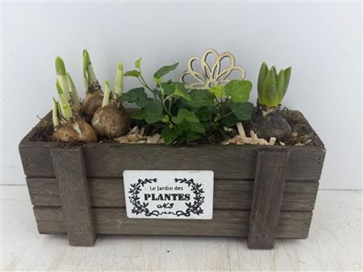 Arr (6) Le Jardin Des Plants | Van der Plas