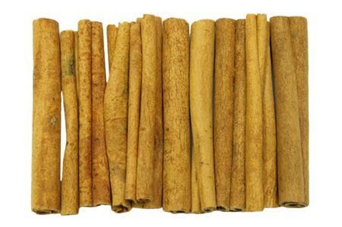 Hobby Cinnamon 8cm | Van der Plas